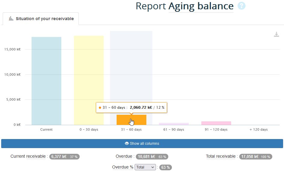 Precise and Dynamic Aging Balance Analysis!