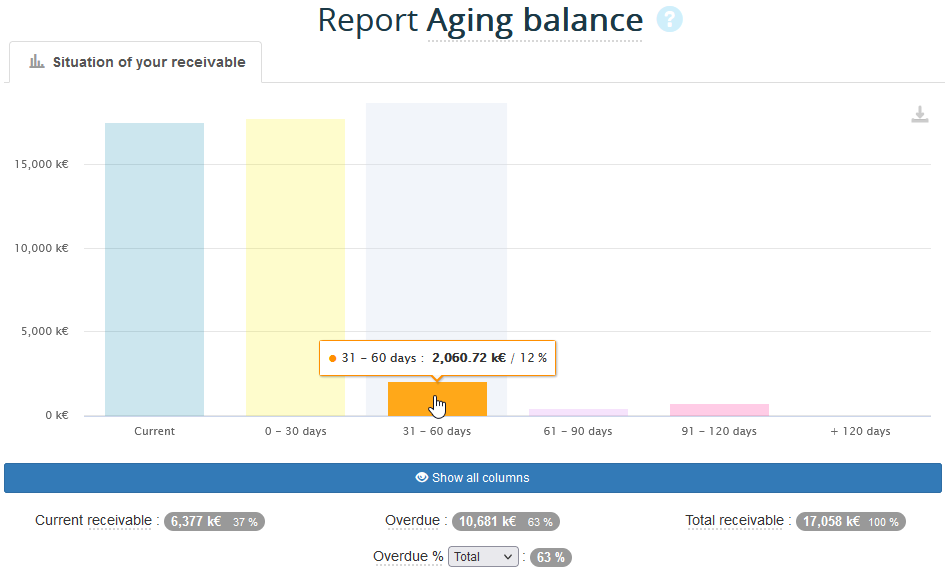 Precise and Dynamic Aging Balance Analysis!